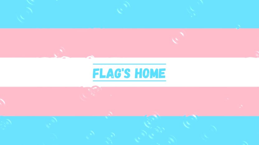 Unveiling the History of the Transgender Flag: Origins, Meaning, and ...