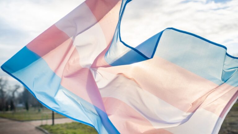 Unveiling the History of the Transgender Flag - Origins, Meaning, and ...